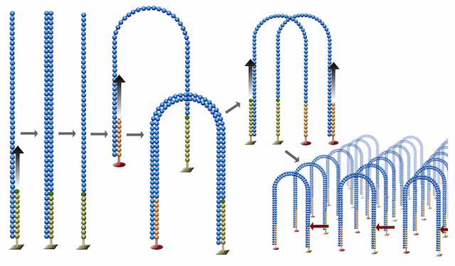 DNA Sequencing and Healthcare | author | Elio Academy